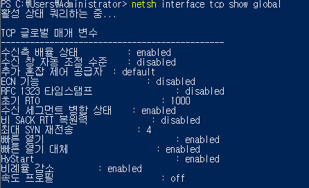 네트워크 최적화 netsh interface tcp set global autotuninglevel=highlyrestricted